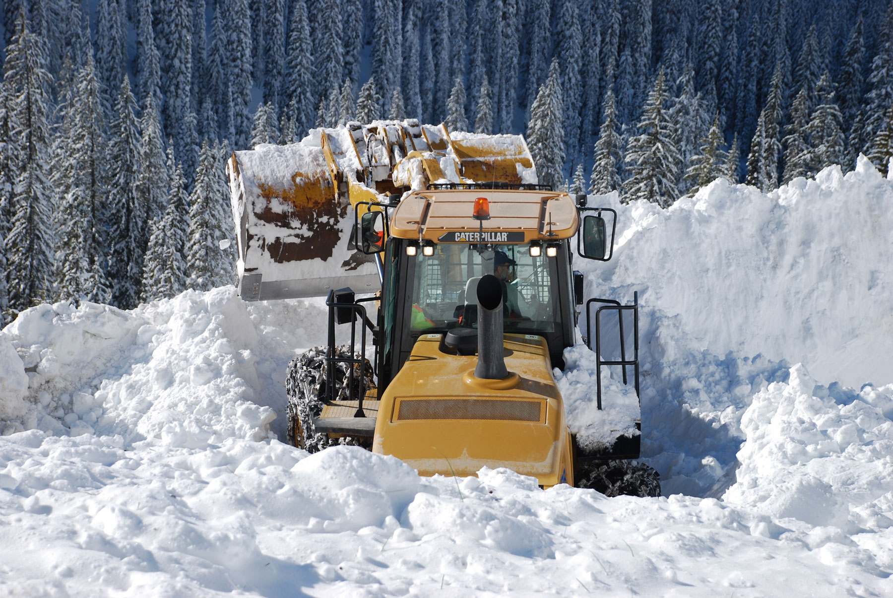 Standardized Safety Training - RoadReadyBC